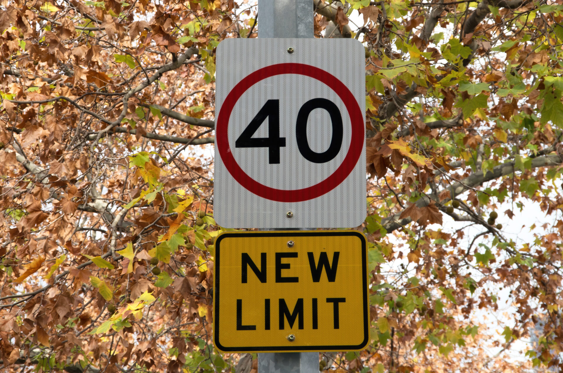 In a time of mindfulness, mindful driving is seldom mentioned