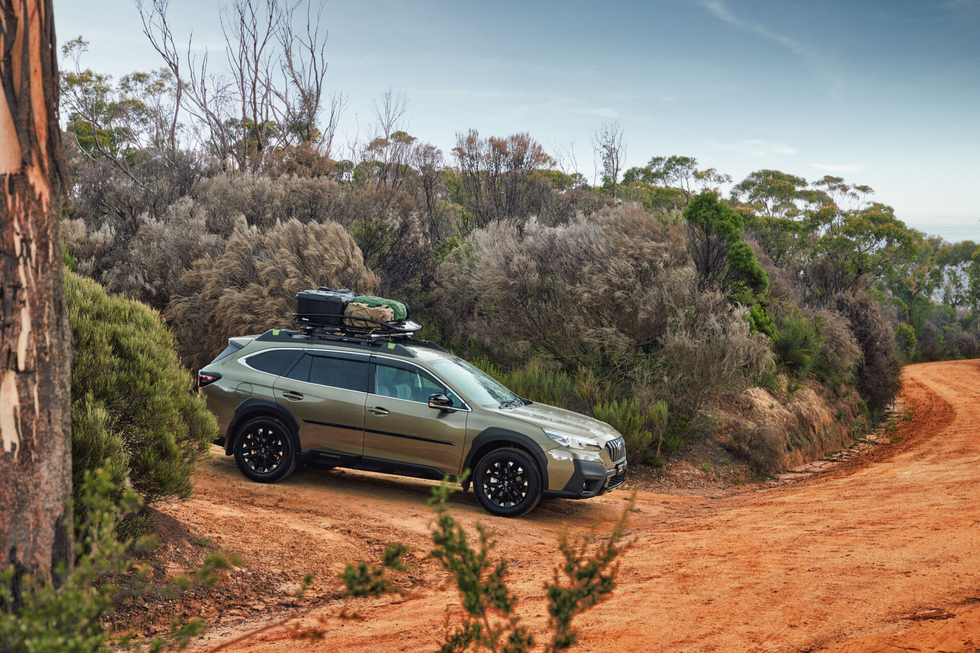 2022 Subaru Outback price and features: Premium Special Edition variant ...