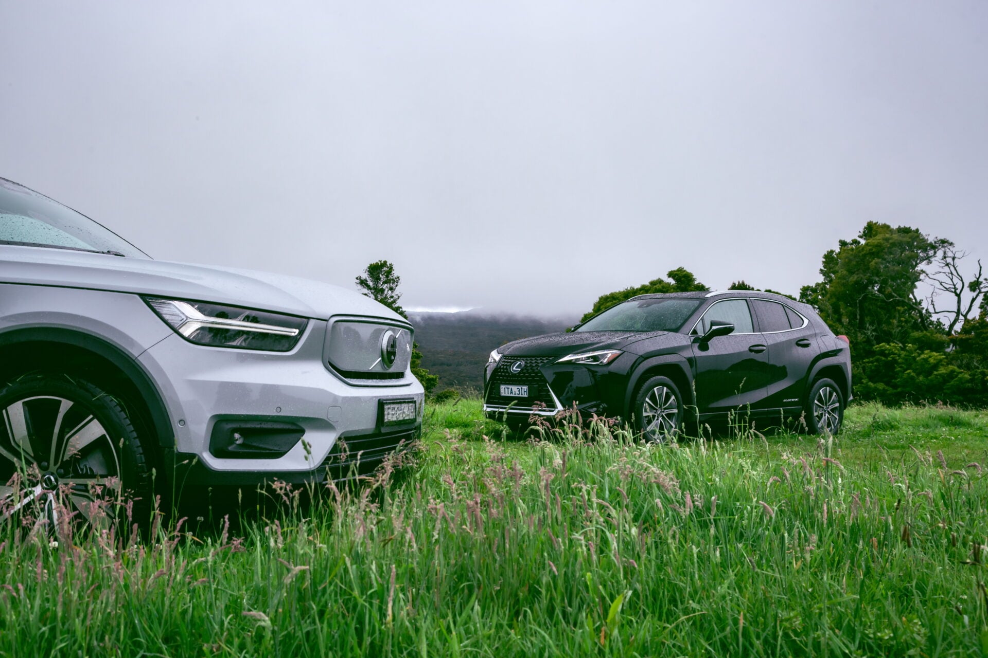 Lexus UX | Price, Reviews & Specifications