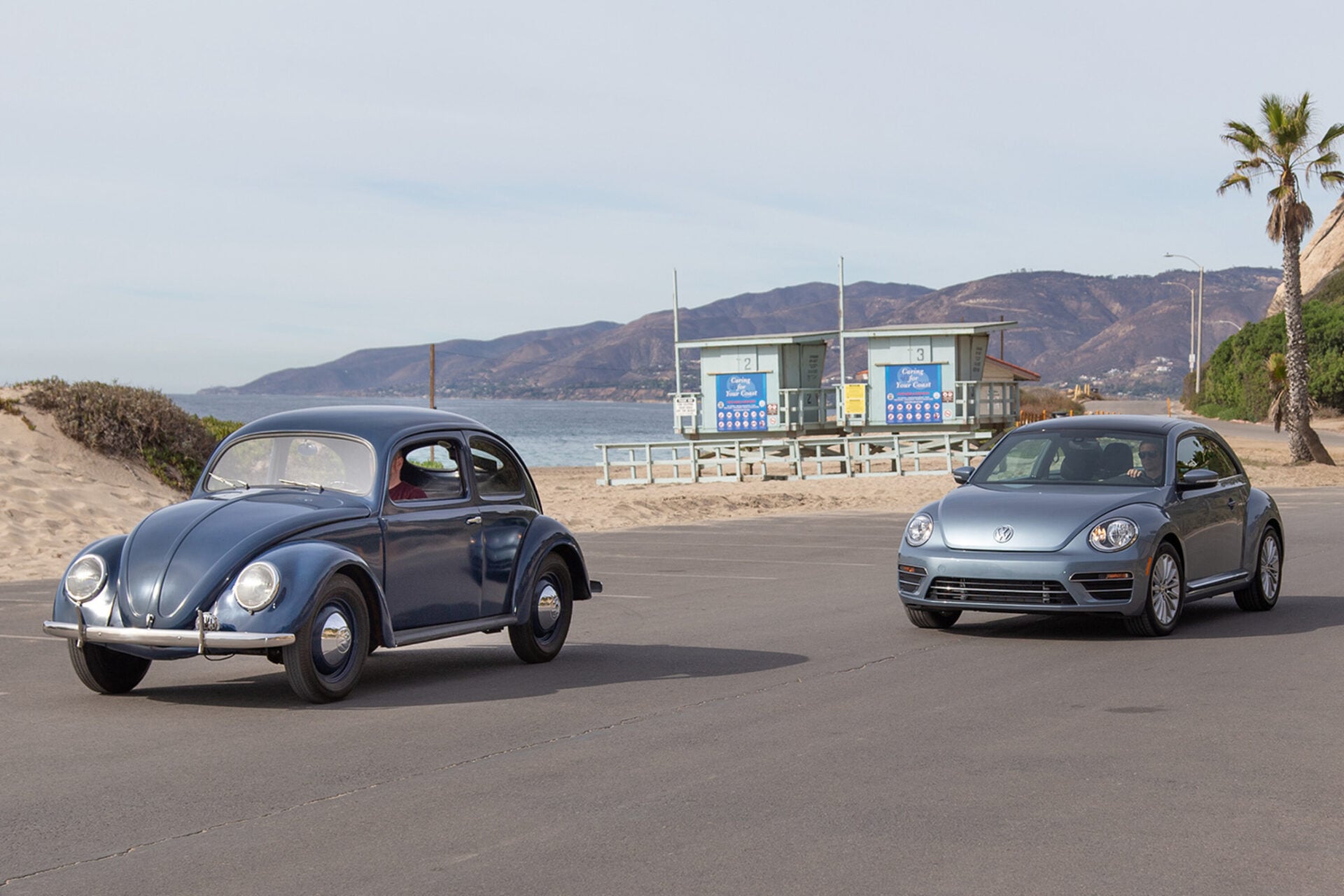 Volkswagen Beetle | Price, Reviews & Specifications