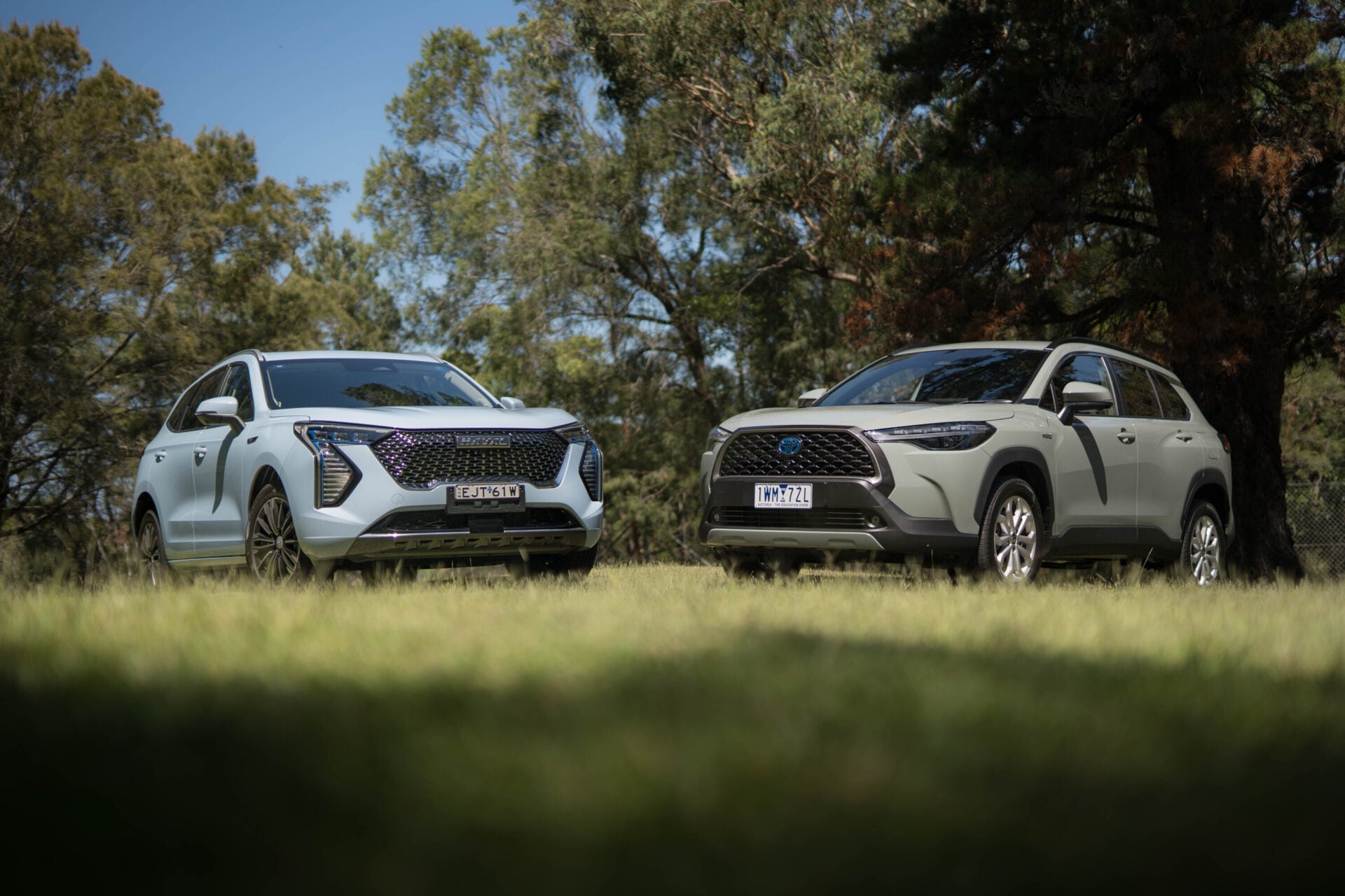 HAVAL | Prices, Reviews & Specs