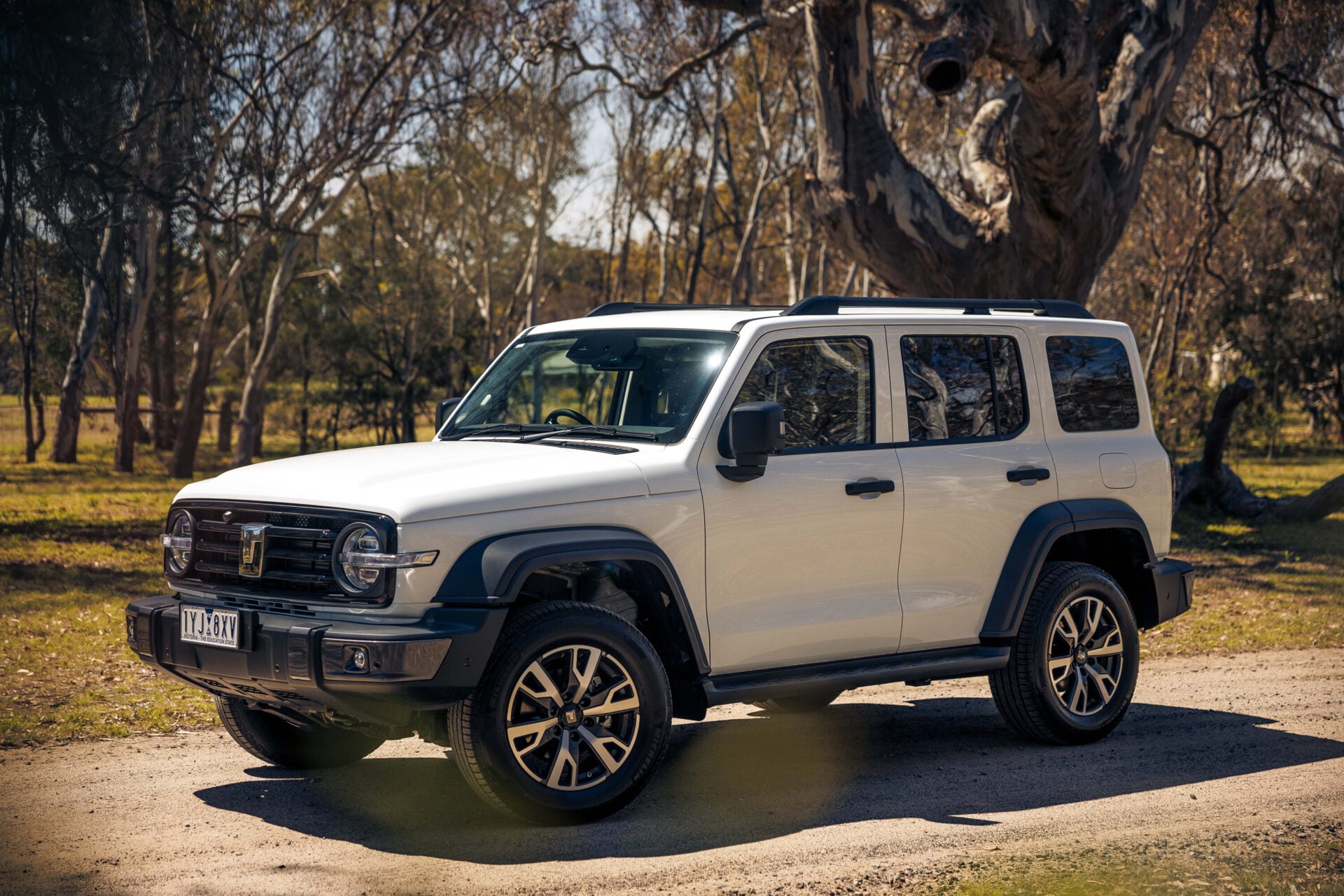 Plug pulled: GWM Tank 300 feature removed